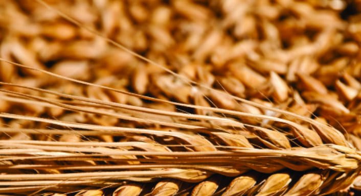 Bakery + Breweries = Tasty Snacks - Explore White Rock