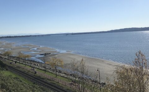 All About East Beach - Explore White Rock