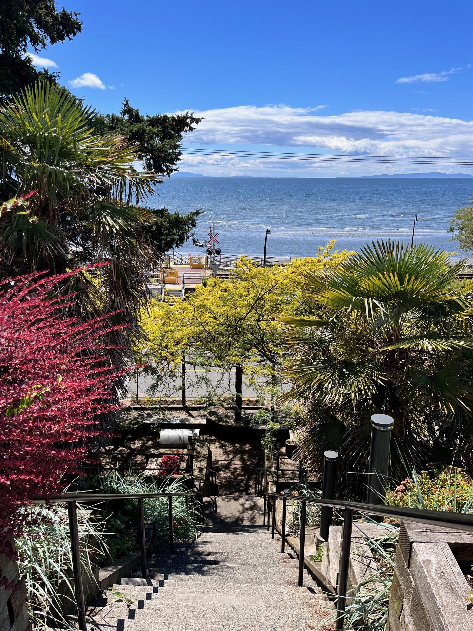 All About East Beach - Explore White Rock