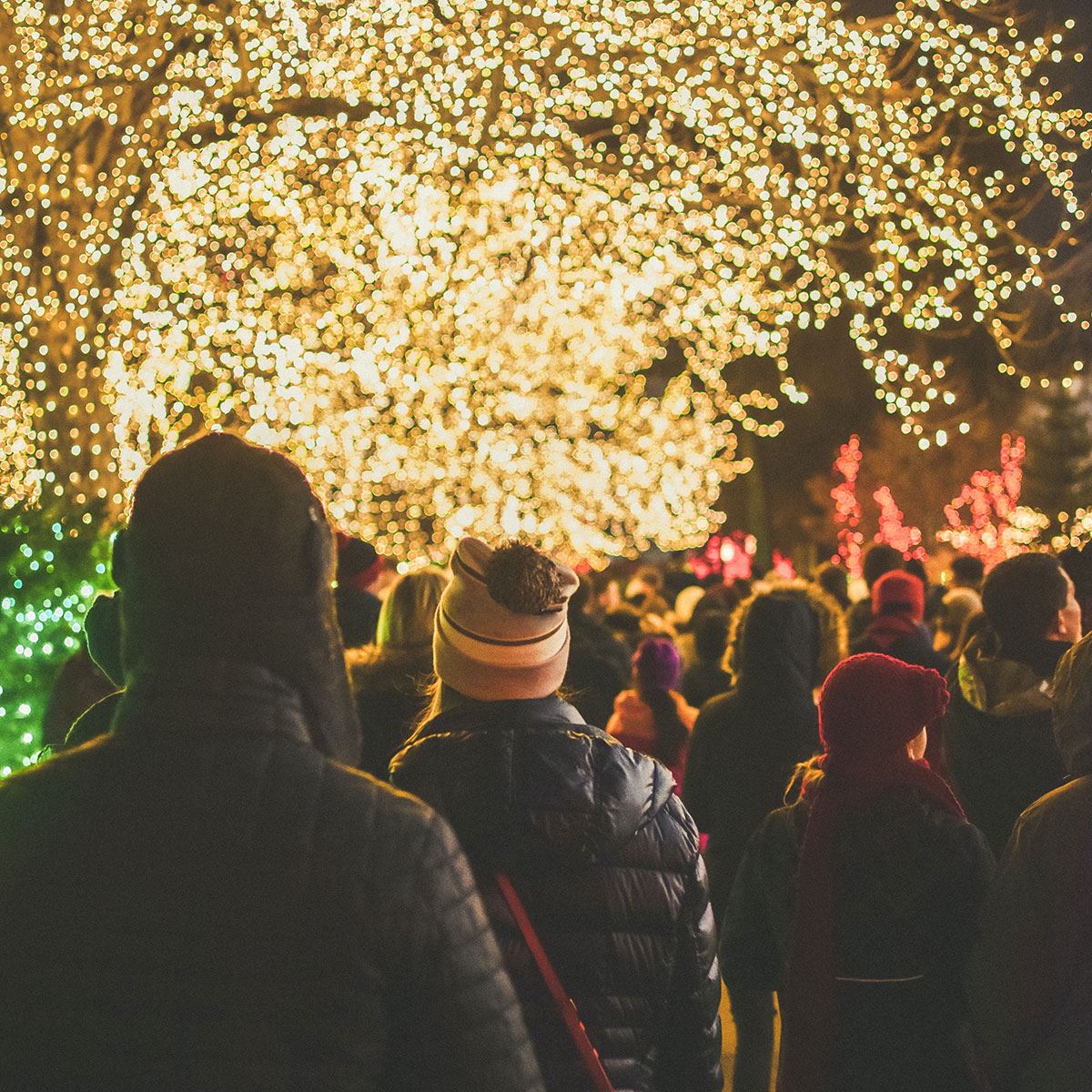 Bright Walk in White Rock! Light up the Waterfront - Explore White Rock