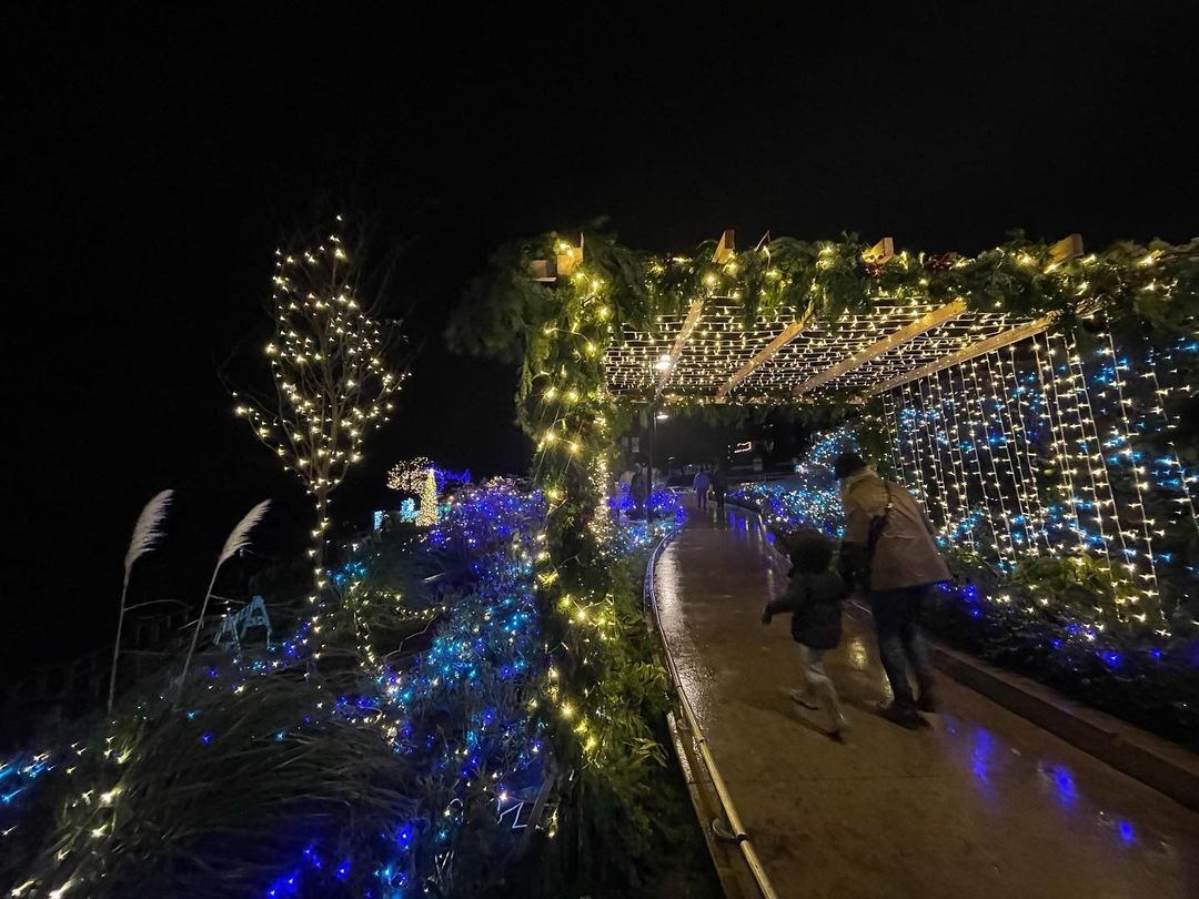 Fun Things to Do on New Year's Day in White Rock - Explore White Rock