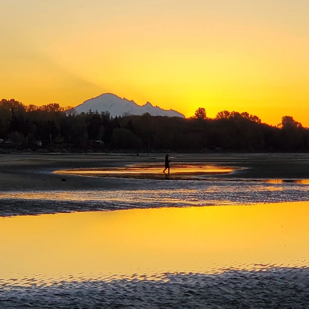Fun Things to Do on New Year's Day in White Rock - Explore White Rock