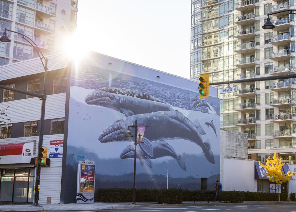 What to do in White Rock this Spring Break - Explore White Rock