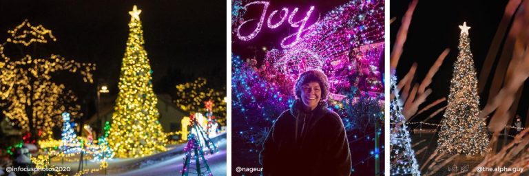 Bright Walk in White Rock! Light up the Waterfront - Explore White Rock
