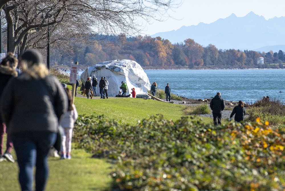 Embrace the Cool: 10 Fantastic Ways to Enjoy White Rock in Winter ...