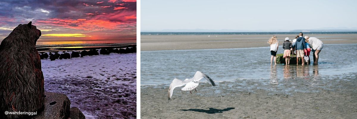 All About East Beach - Explore White Rock