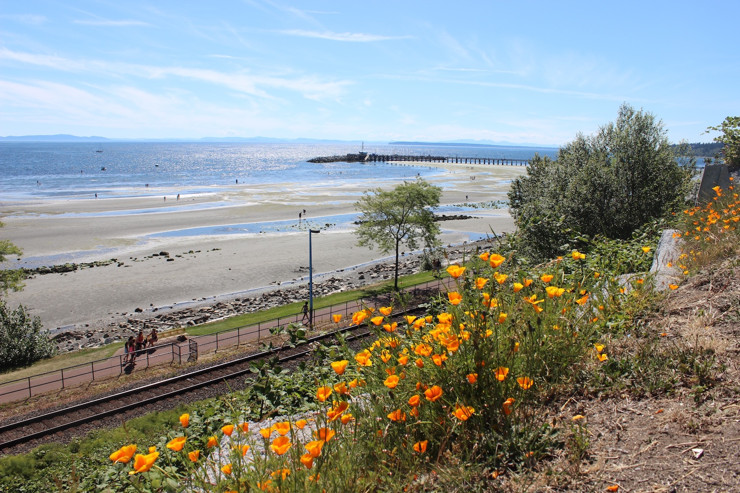 10 Fun Events in White Rock this August - Explore White Rock