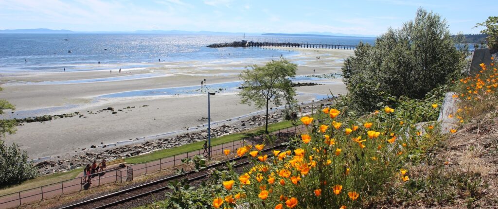 10 Fun Events in White Rock this August - Explore White Rock