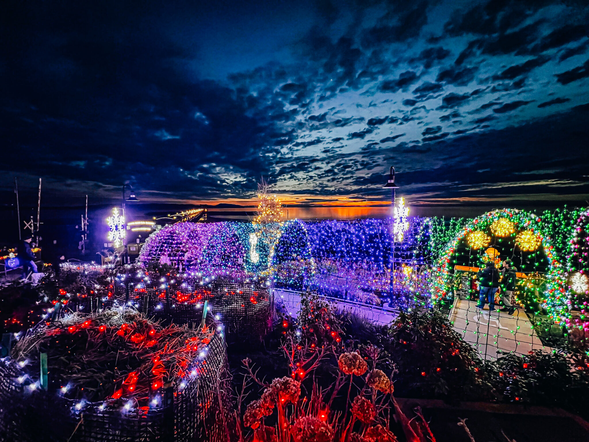 The Ultimate Guide to 2025 Bright Walk in White Rock! - Explore White Rock