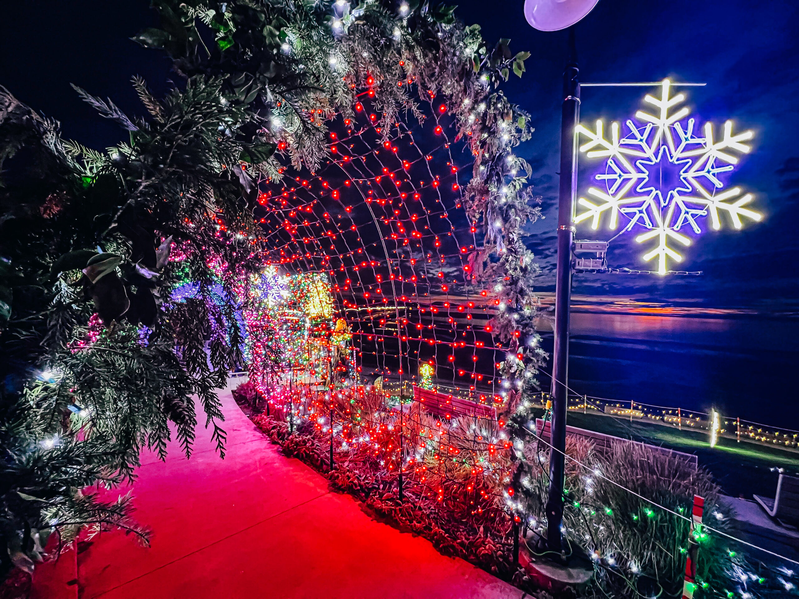 The Ultimate Guide to 2025 Bright Walk in White Rock! - Explore White Rock